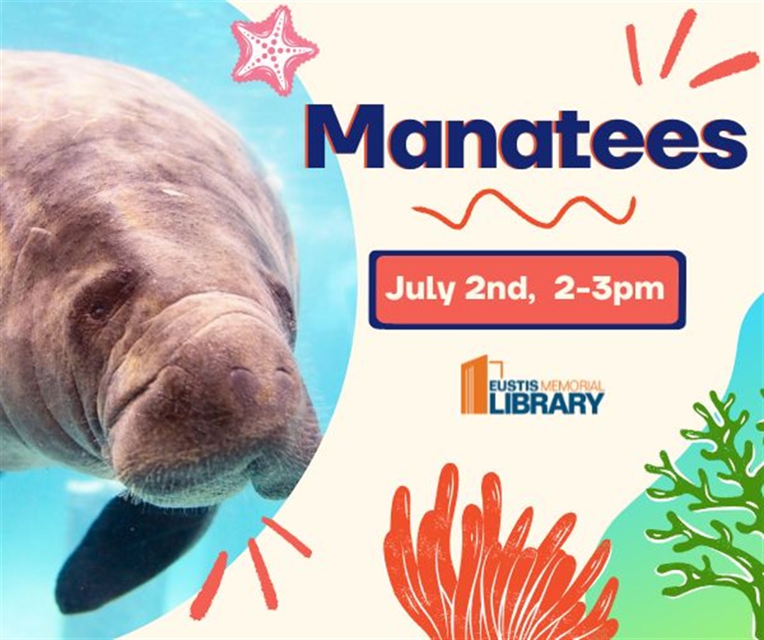 Manatees - Eustis FL