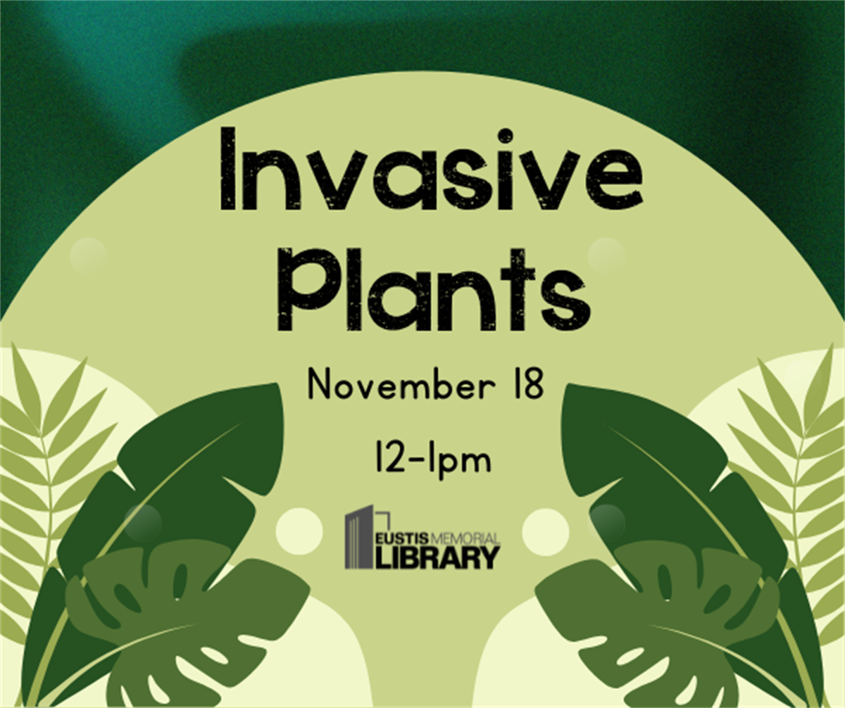 Invasive Plants - Eustis FL